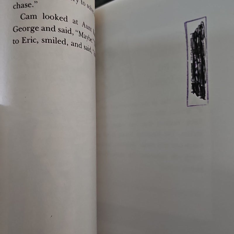 Cam Jansen: the Mystery at the Haunted House #13 by David A. Adler ...