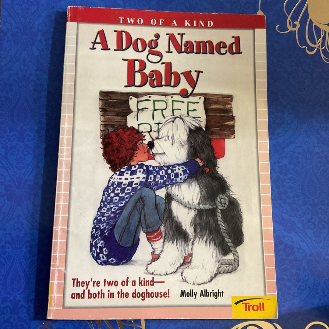 A Dog Named Baby by Molly Albright, Paperback | Pangobooks