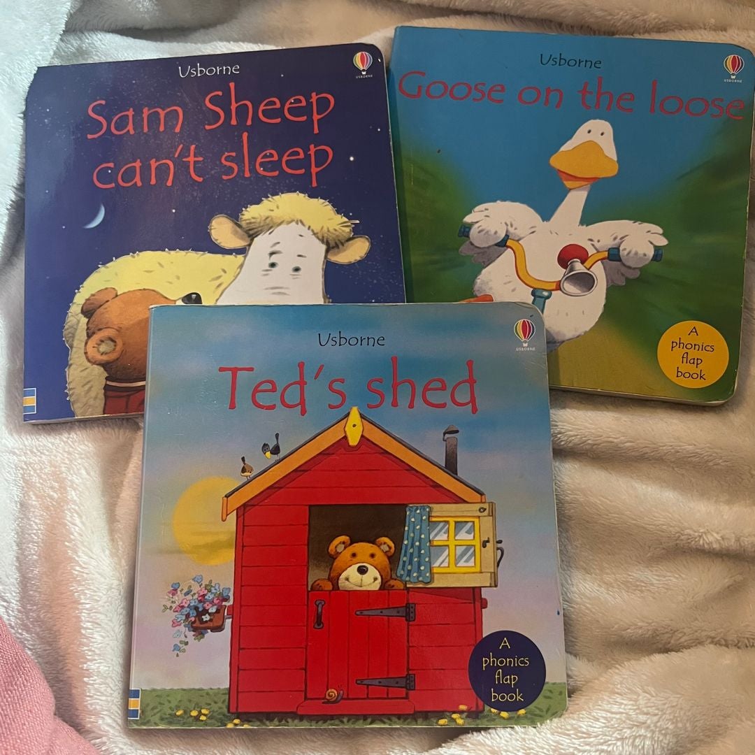 Goose on the Loose Phonics Readers by Phil Roxbee Cox, P. Roxbee Cox