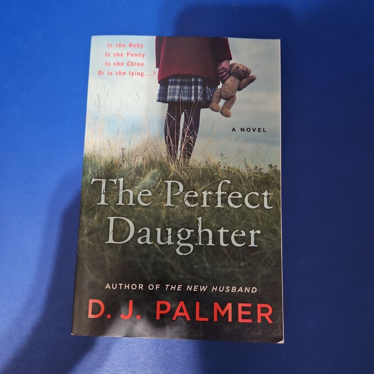 The Perfect Daughter by D. J. Palmer