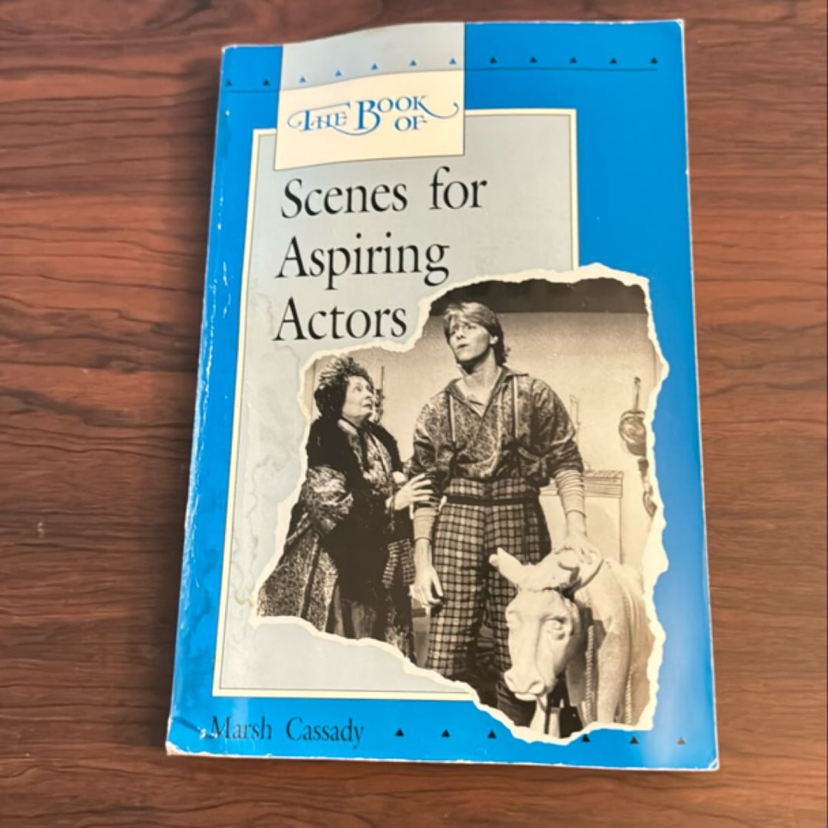 The Book of Scenes for Aspiring Actors, Student Edition by McGraw-Hill