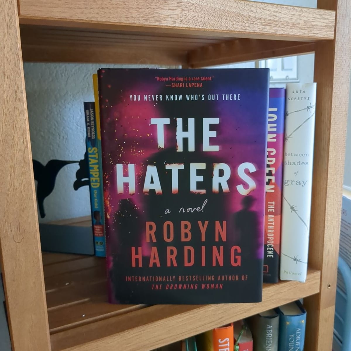 The Haters by Robyn Harding, Hardcover | Pangobooks