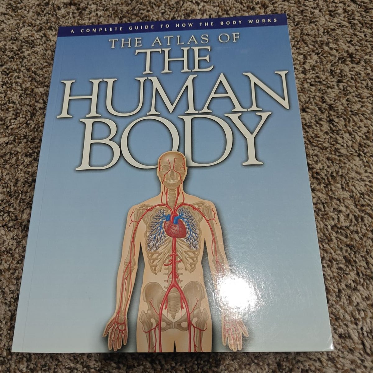 Atlas of Human Anatomy by Peter H. Abrahams