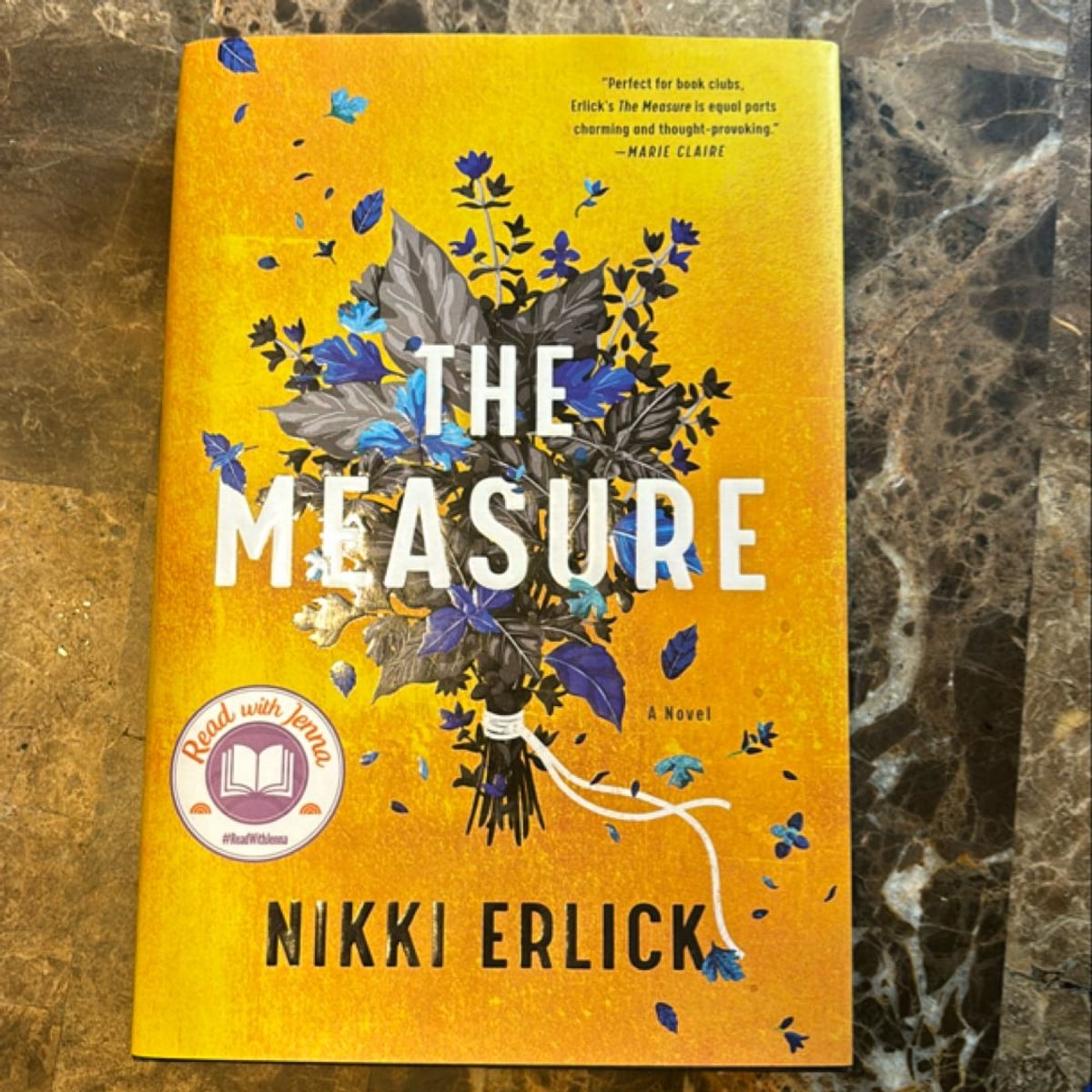 The Measure by Nikki Erlick