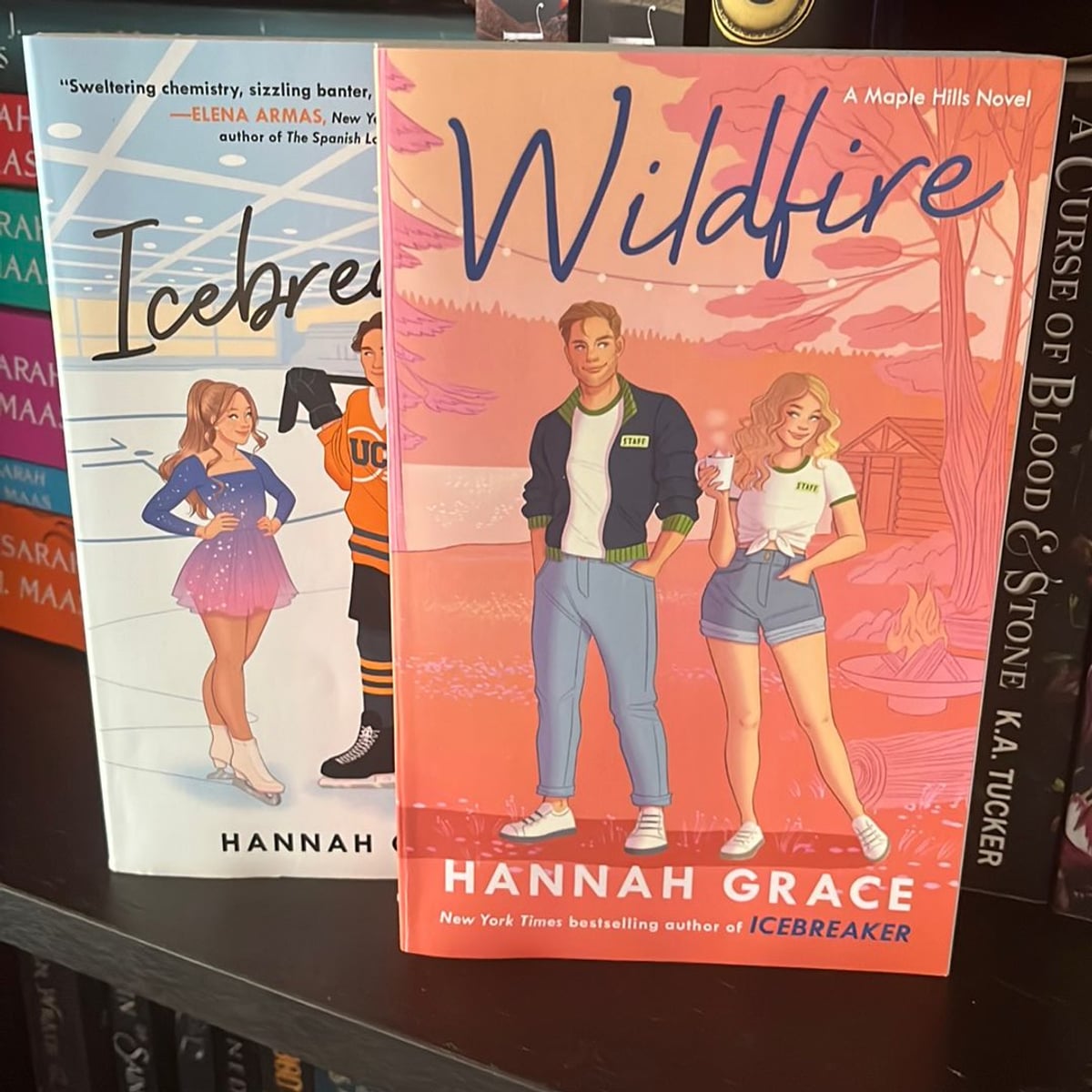 Icebreaker & Wildfire by Hannah Grace , Paperback | Pangobooks
