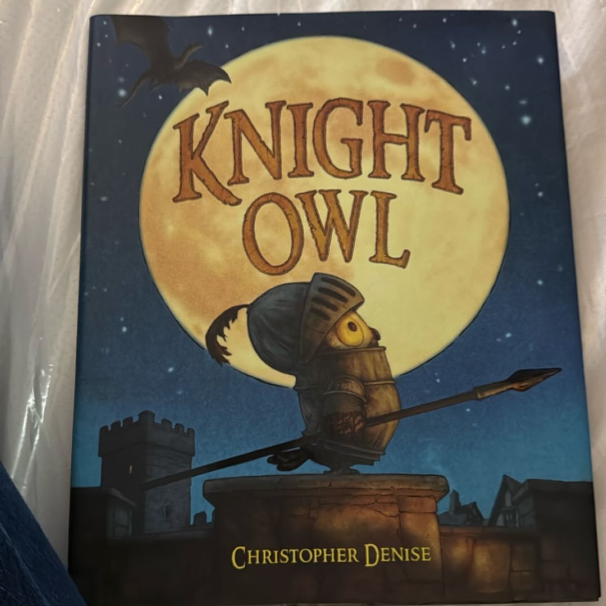 Knight Owl by Christopher Denise