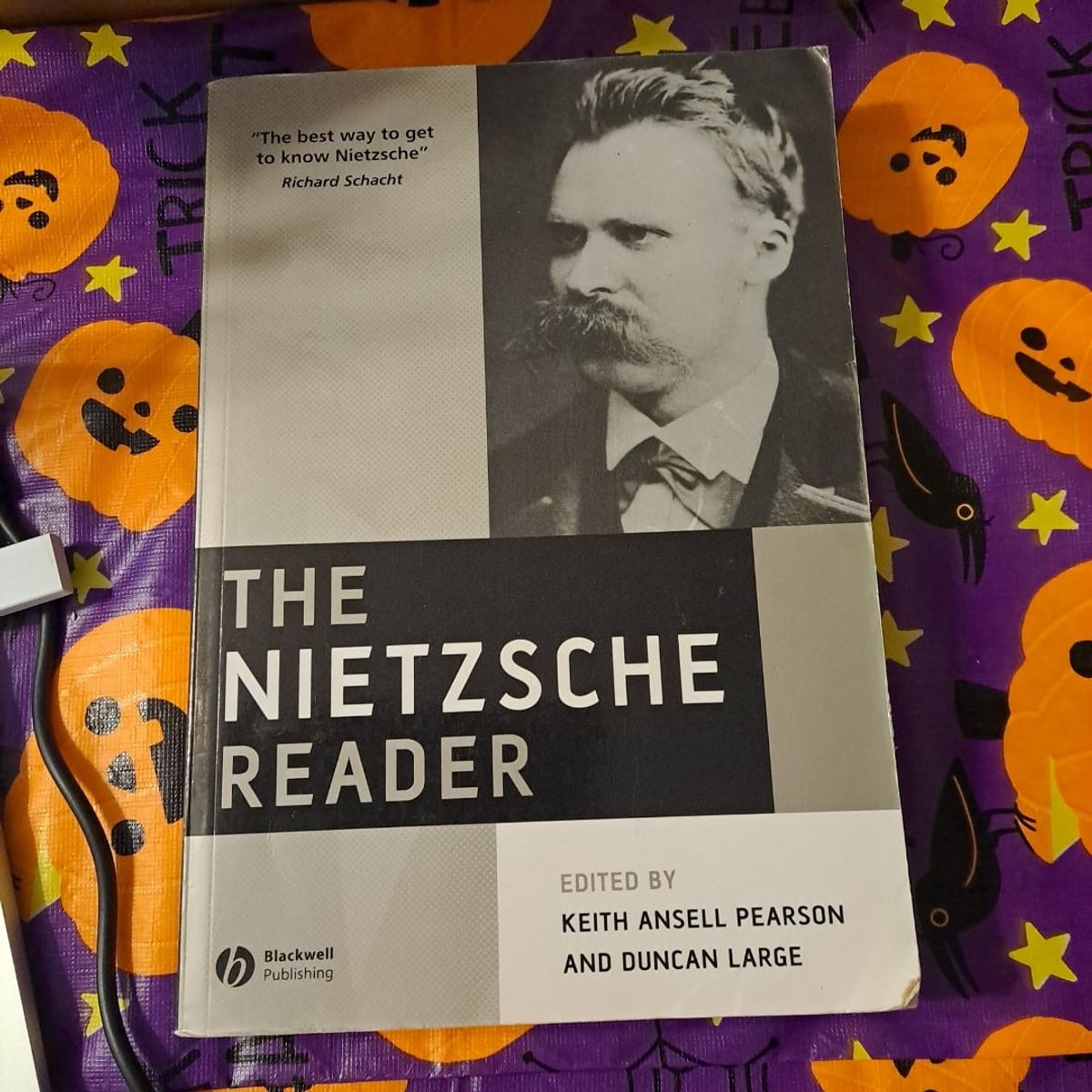 The Nietzsche Reader by Keith Ansell-Pearson