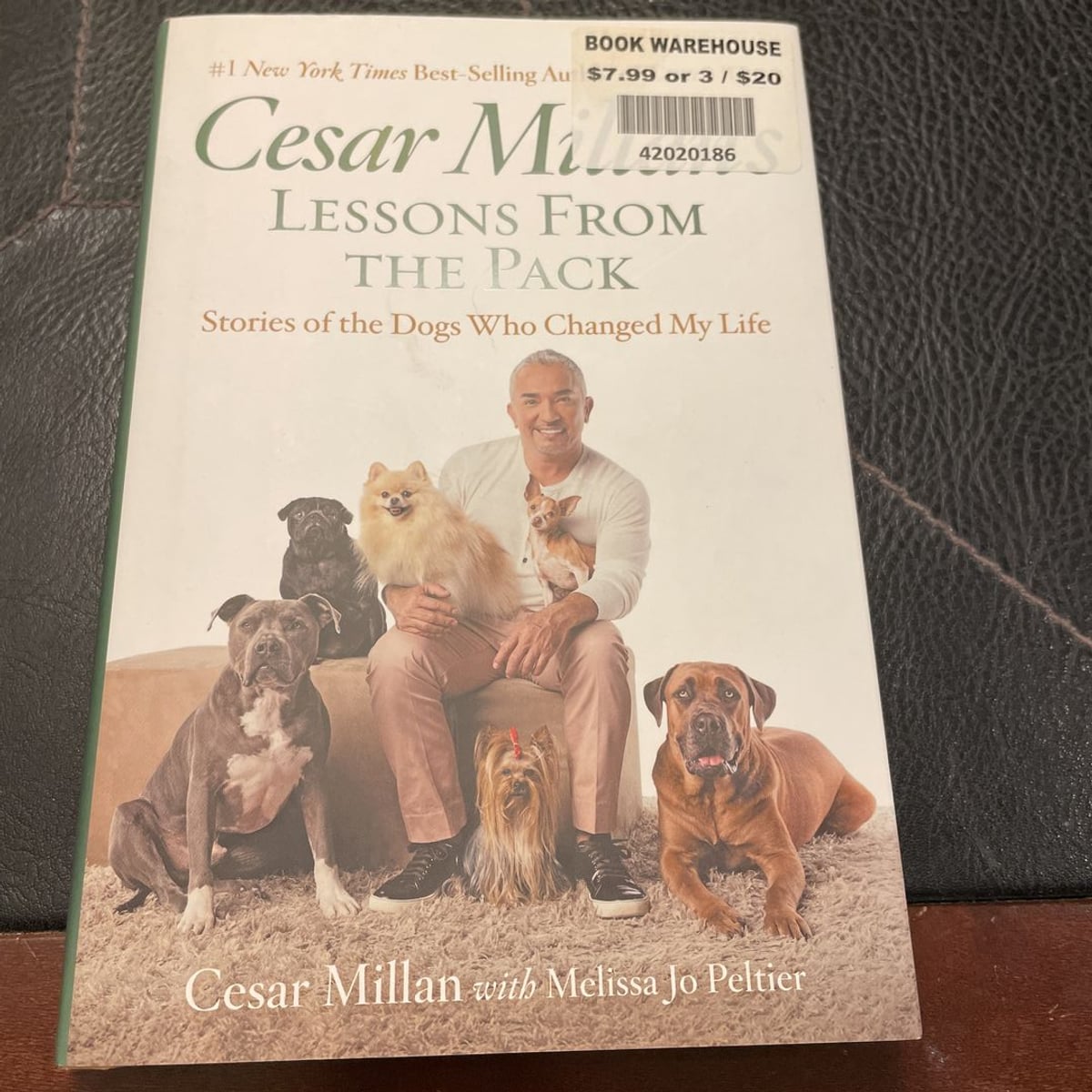 Cesar Millan's Lessons from the Pack by Cesar Millan