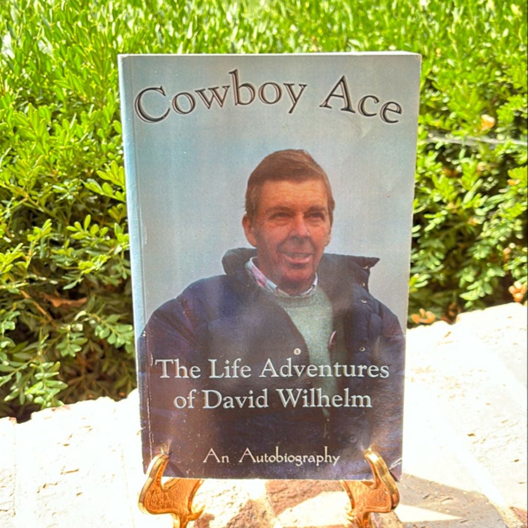 Cowboy Ace by David Wilhelm