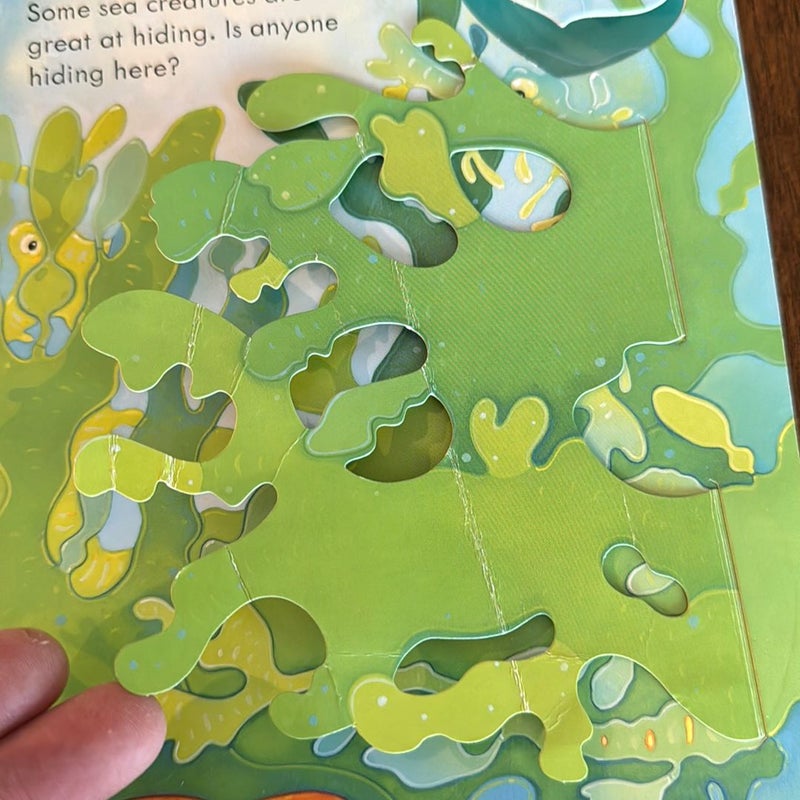 Peek Inside the Sea by Anna Milbourne, Hardcover | Pangobooks