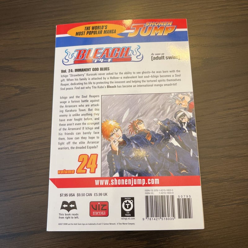 Bleach, Vol. 24 by Tite Kubo, Paperback | Pangobooks
