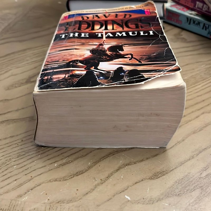 The Tamuli by David Eddings