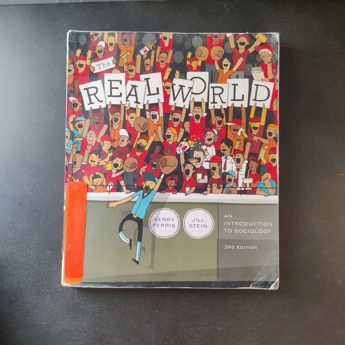The Real World by Kerry Ferris, Jill Stein, Paperback | Pangobooks
