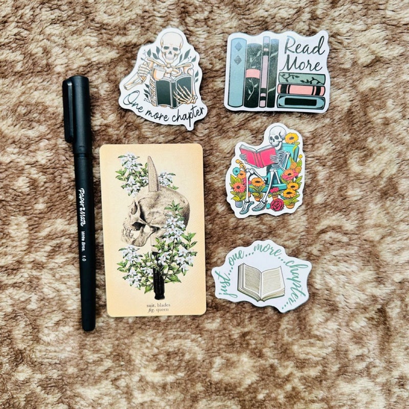 Suspense *themed* Blind Date with a Book Box by *surprise*, Paperback ...