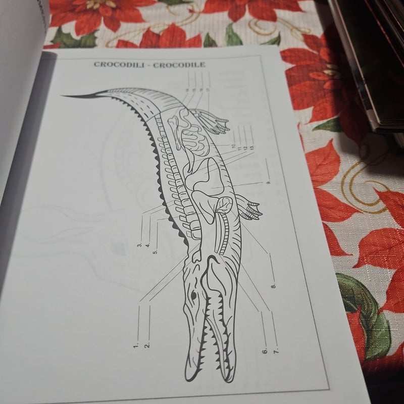Veterinary Anatomy Coloring Book by Anatomy Academy