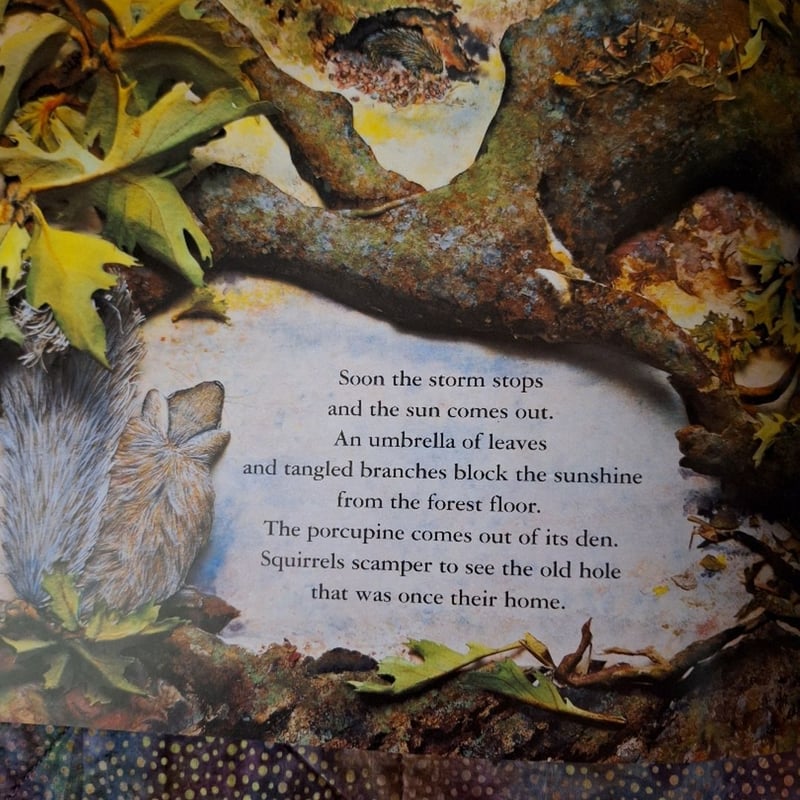 A Log's Life by Wendy Pfeffer, Paperback | Pangobooks