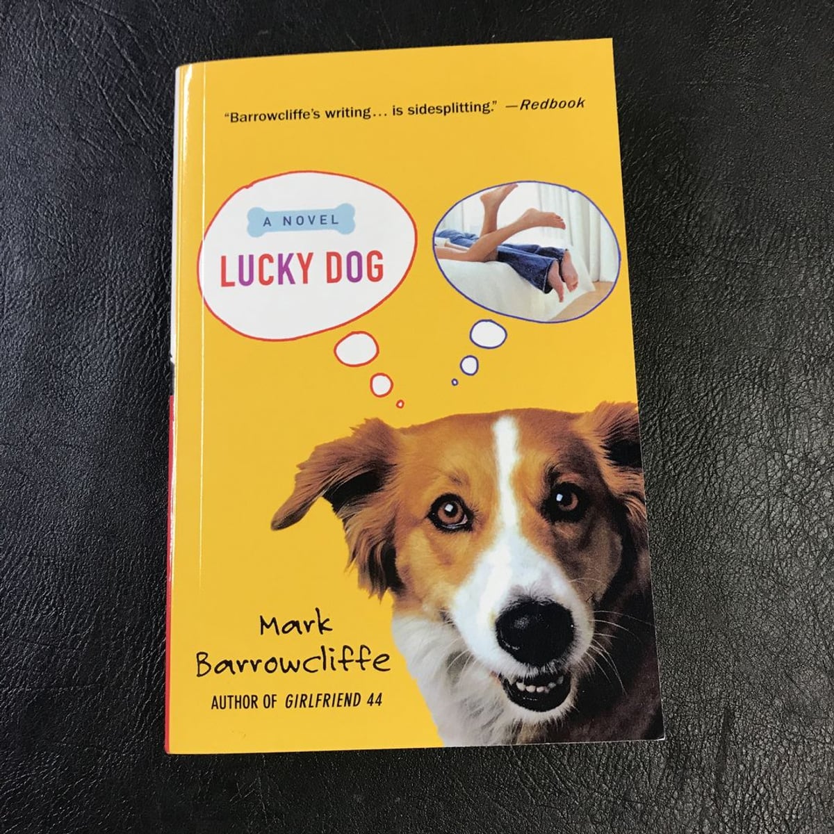 Lucky Dog by Mark Barrowcliffe