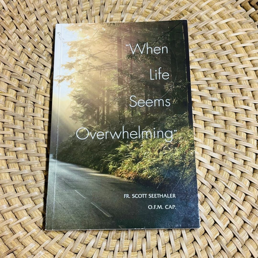When Life Seems Overwhelming by Father Scott Seethaler, Paperback ...