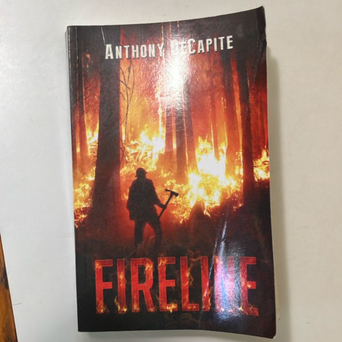 Fireline by Anthony Decapite