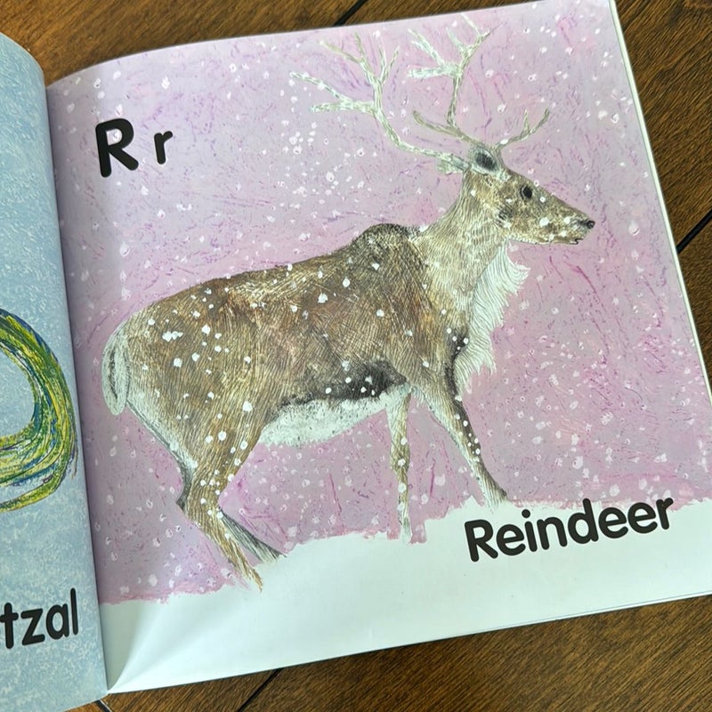 Amazing Animal Alphabet by Brian Wildsmith, Paperback | Pangobooks