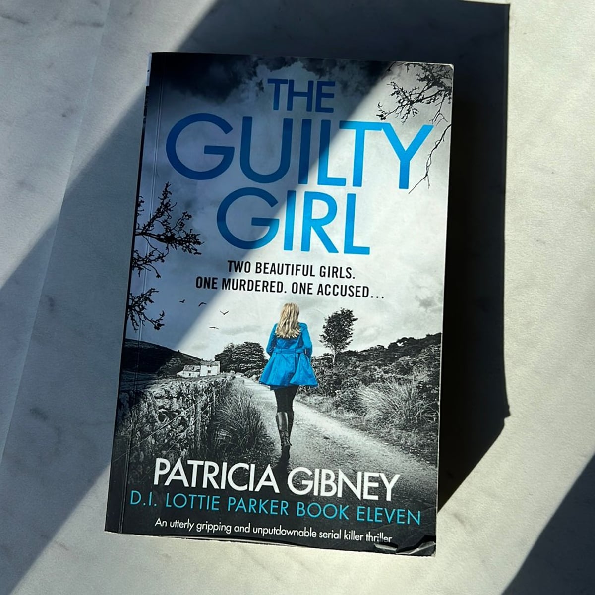 The Guilty Girl by Patricia Gibney