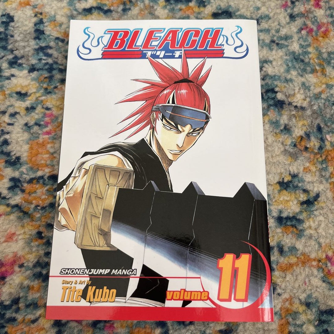 Bleach, Vol. 11