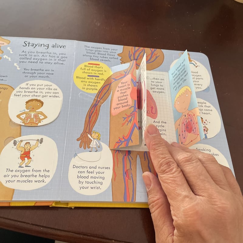 Look Inside Your Body by Louie Stowell, Hardcover | Pango Books