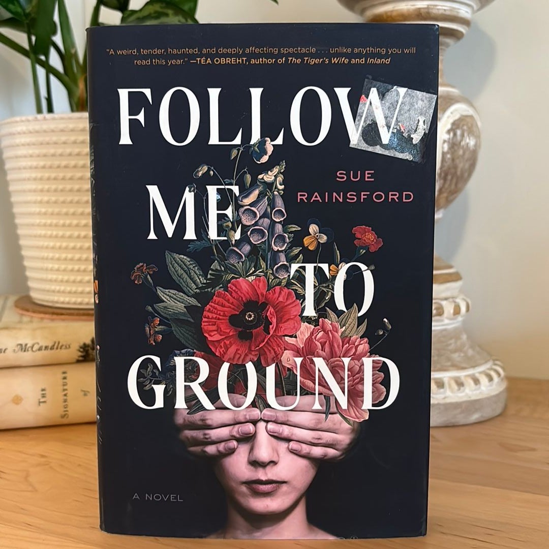 Follow Me to Ground by Sue Rainsford