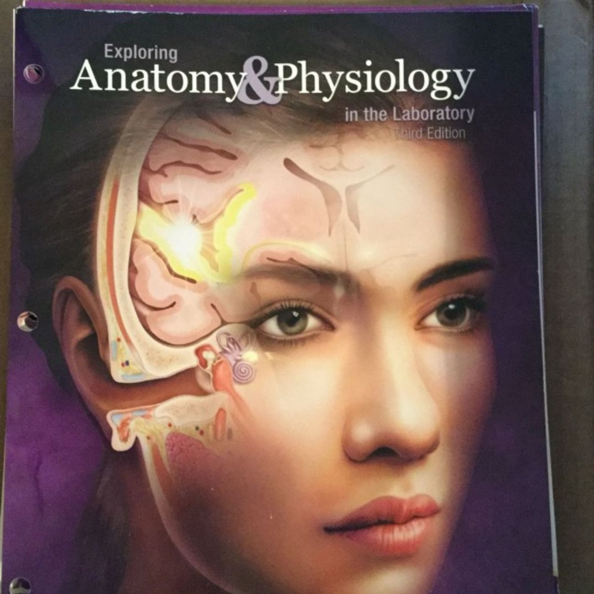 Active-Learning Workbook for Human Anatomy and Physiology by Erin C ...