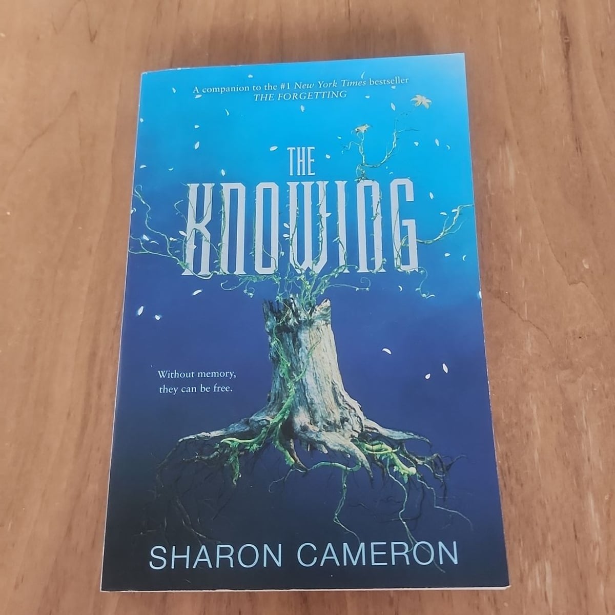 The Knowing by Sharon Cameron