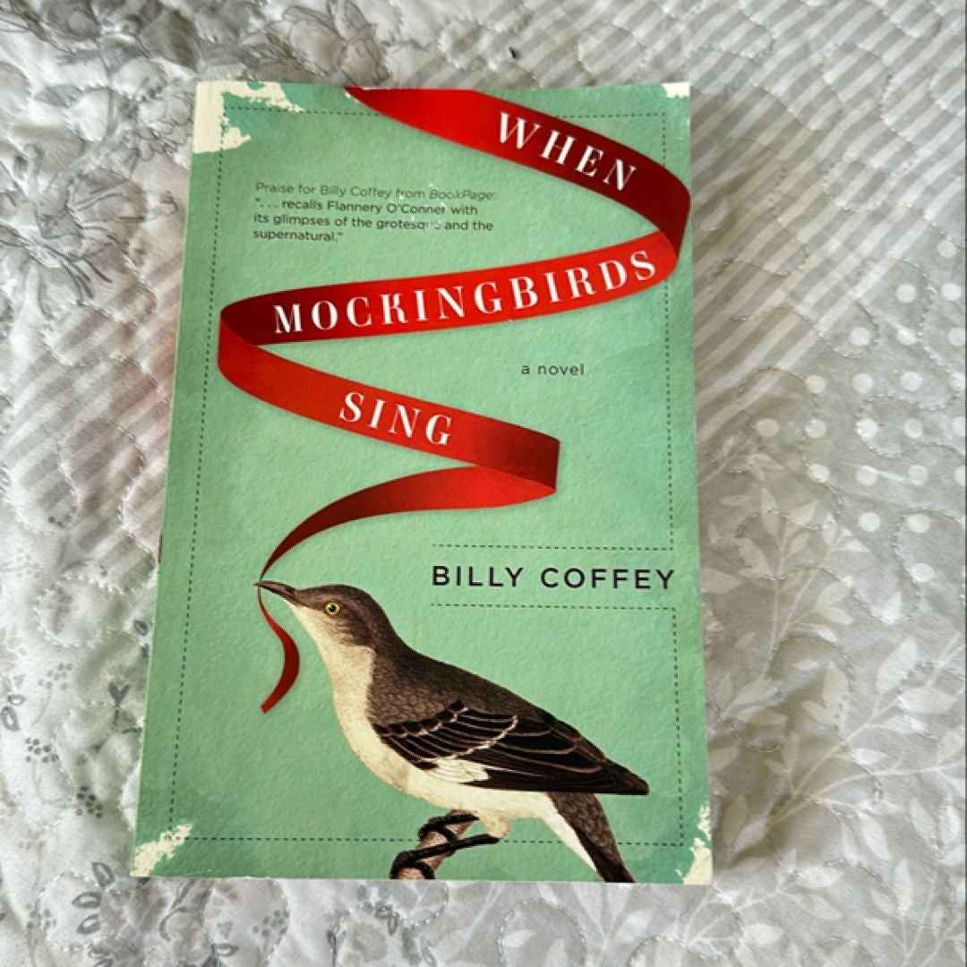 When Mockingbirds Sing by Billy Coffey
