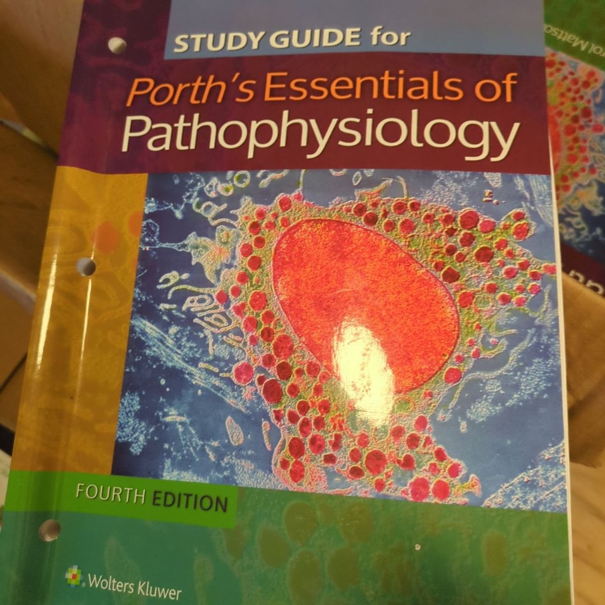 Study Guide for Essentials of Pathophysiology by Brian Kipp
