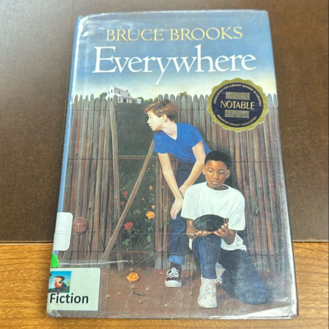 Everywhere by Bruce Brooks