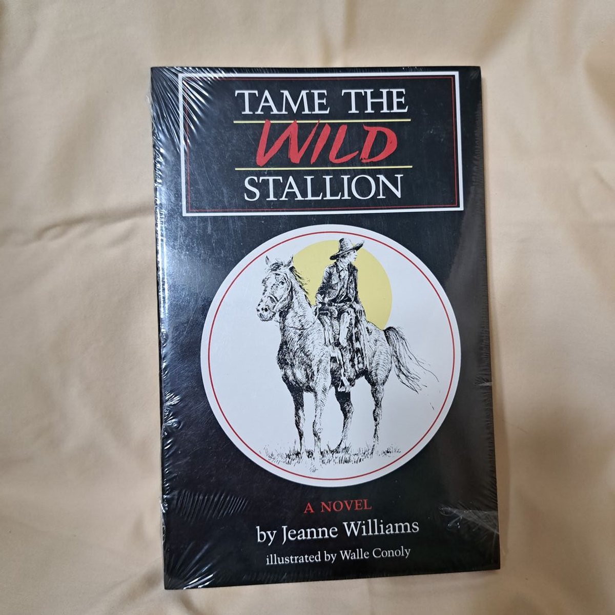 Tame the Wild Stallion by Jeanne Williams