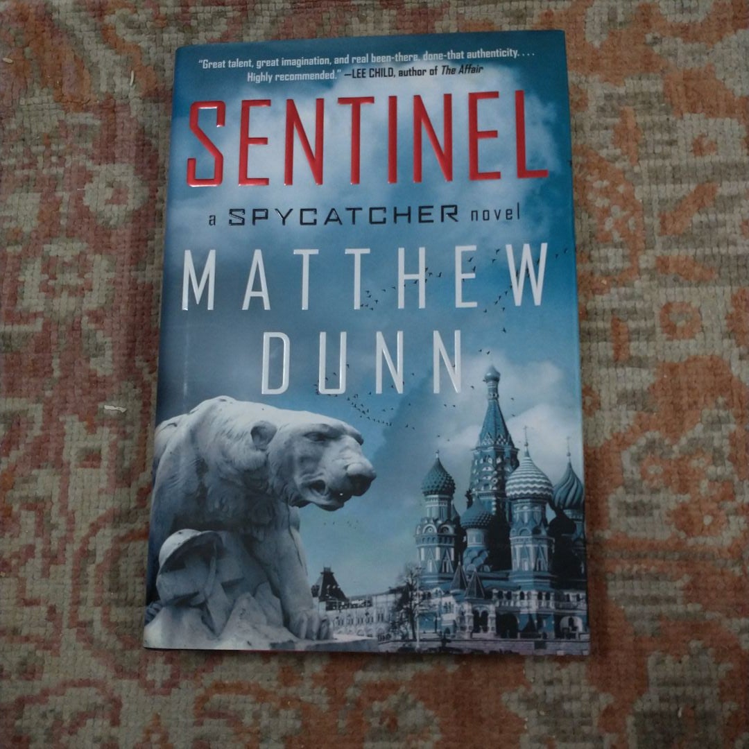 Sentinel by Matthew Dunn