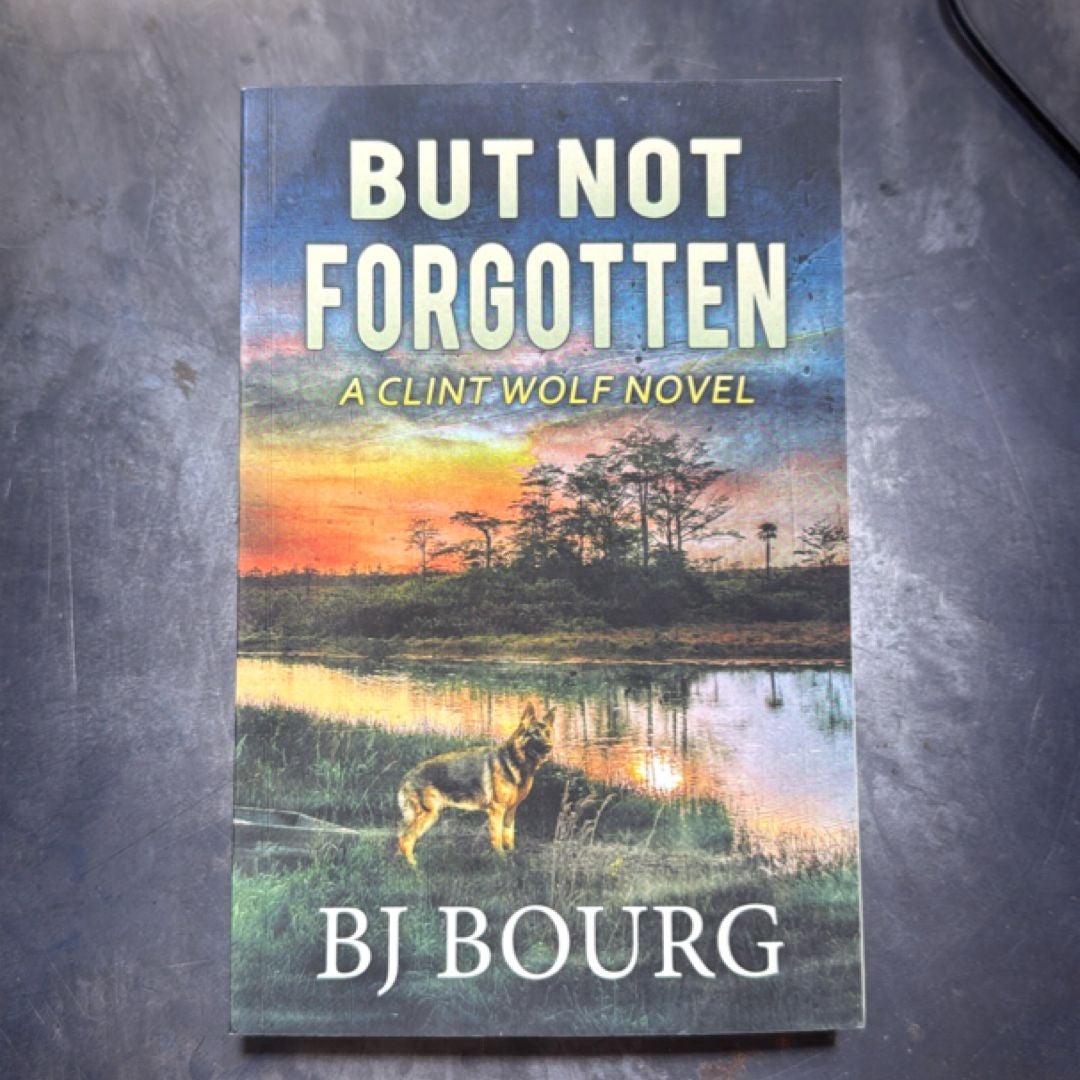 But Not Forgotten by B. J. Bourg
