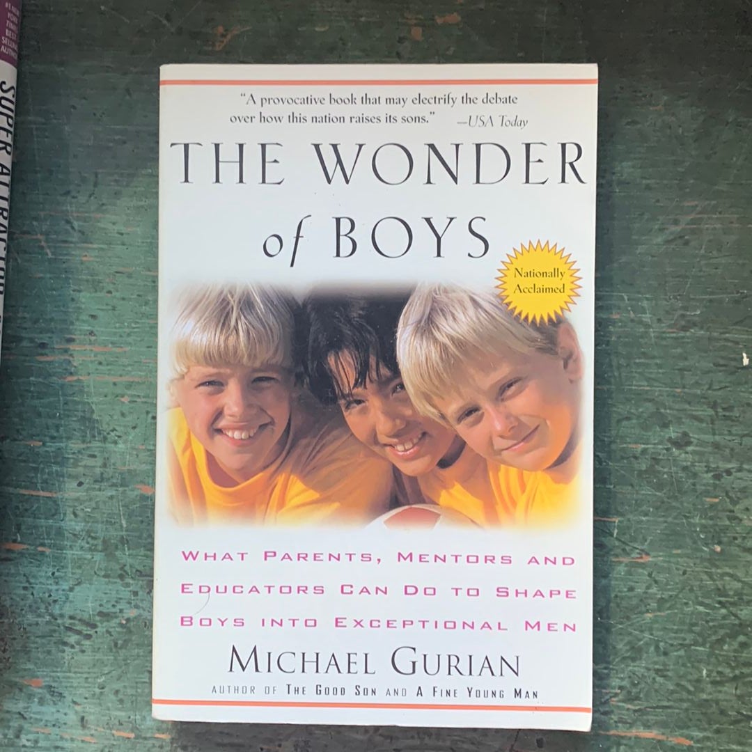 The Wonder of Boys by Michael Gurian