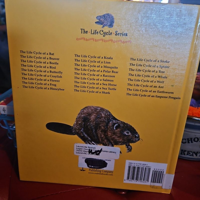 The Life Cycle of a Beaver by Bobbie Kalman