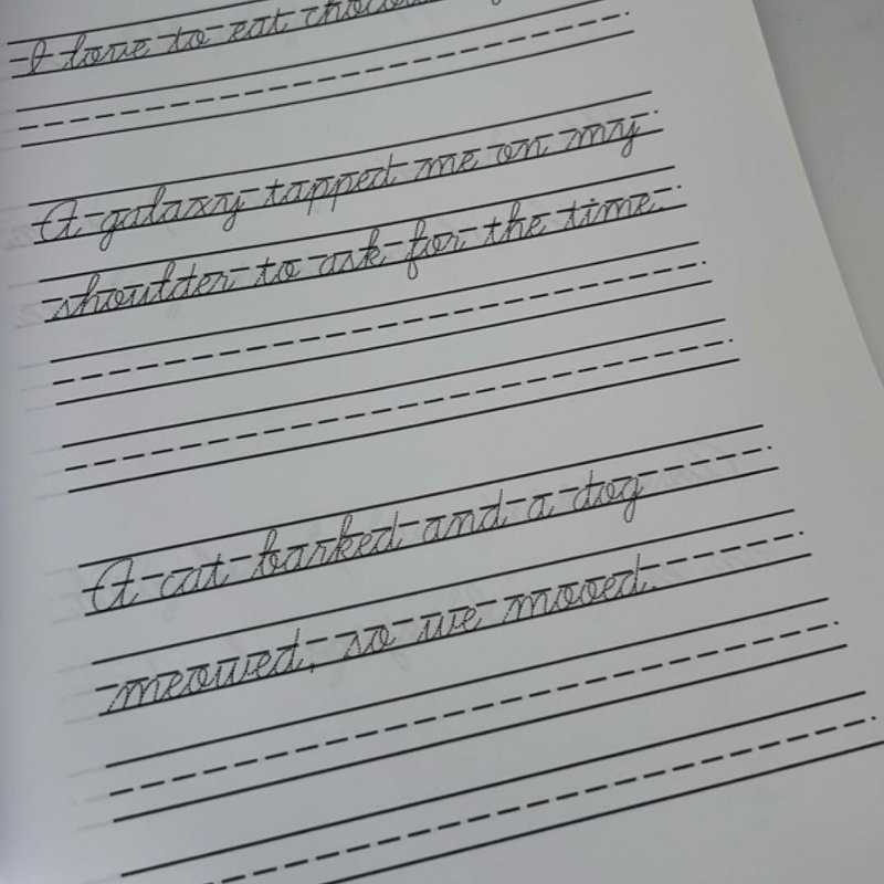 Wacky Sentences Handwriting Workbook (Reproducible) by Julie Harper