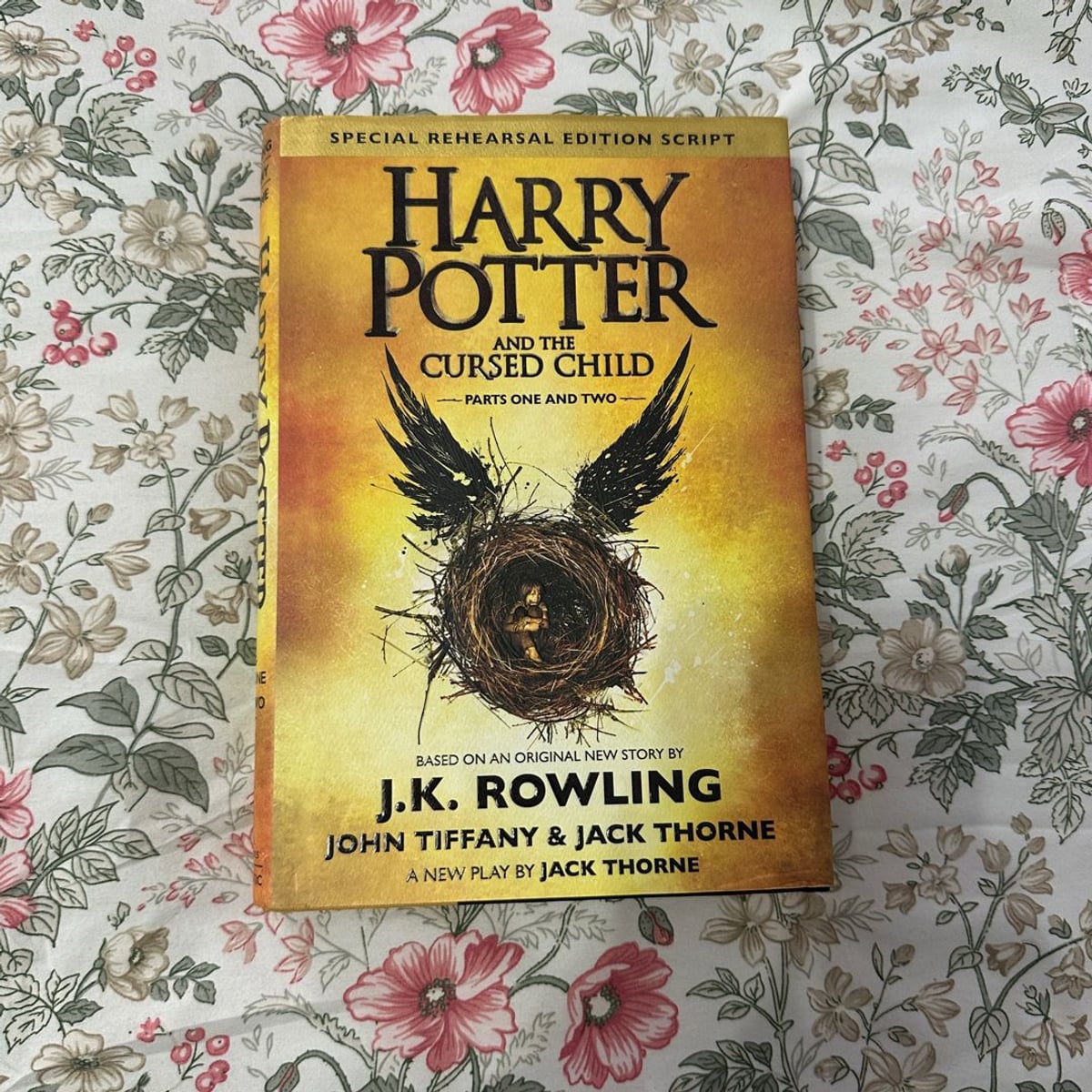 Harry Potter and the Cursed Child Parts One and Two (Special Rehearsal ...
