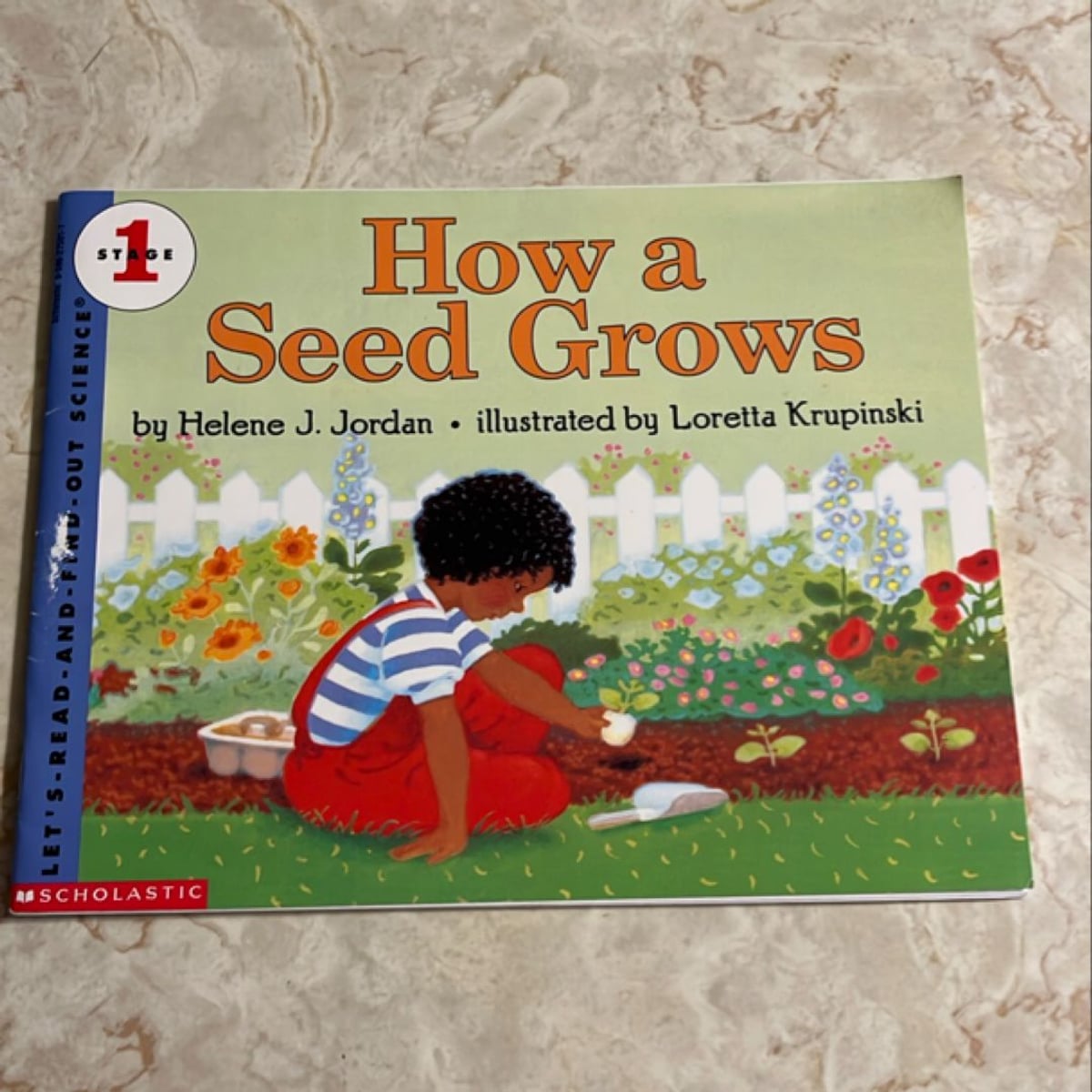 How a Seed Grows by Helene Jamieson Jordan