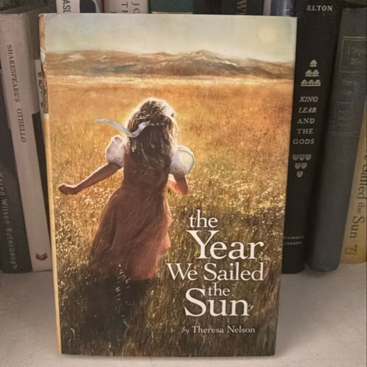 The Year We Sailed the Sun by Theresa Nelson