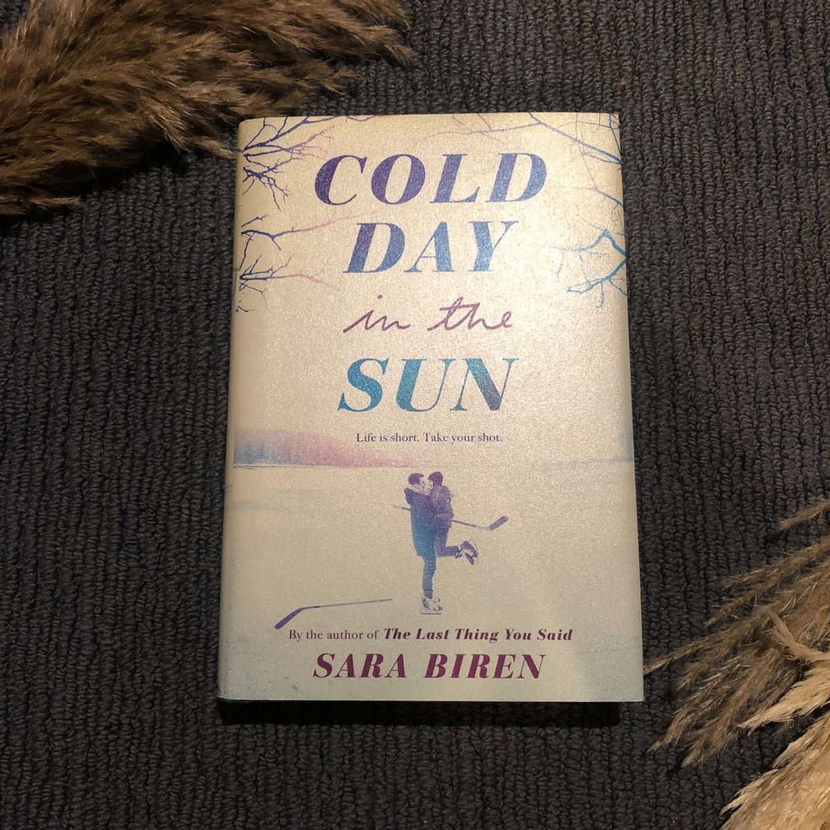 Cold Day in the Sun by Sara Biren