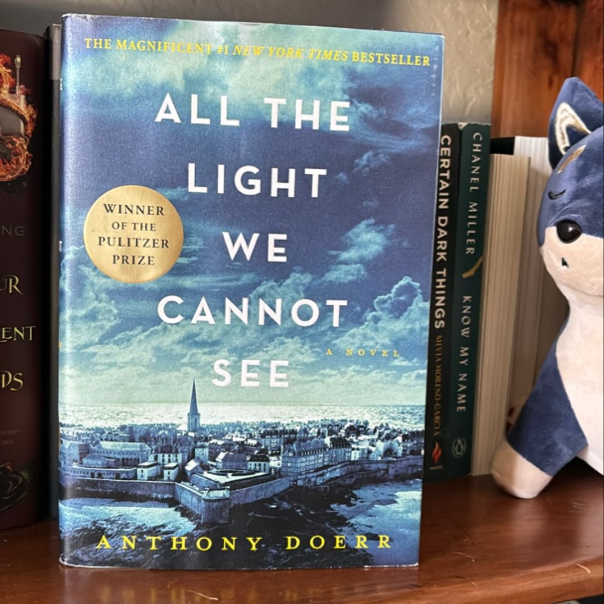 All the Light We Cannot See by Anthony Doerr, Hardcover | Pangobooks