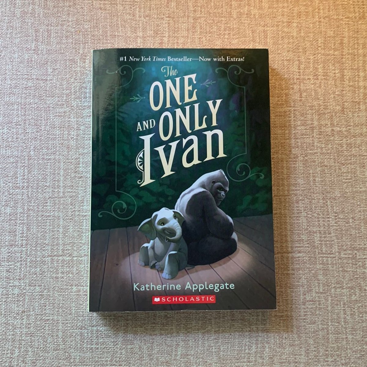 The One and Only Ivan by Katherine Applegate; Patricia Castelao ...