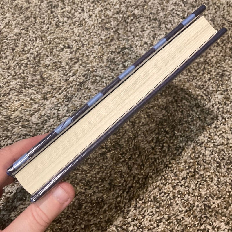 The Night Diary by Veera Hiranandani