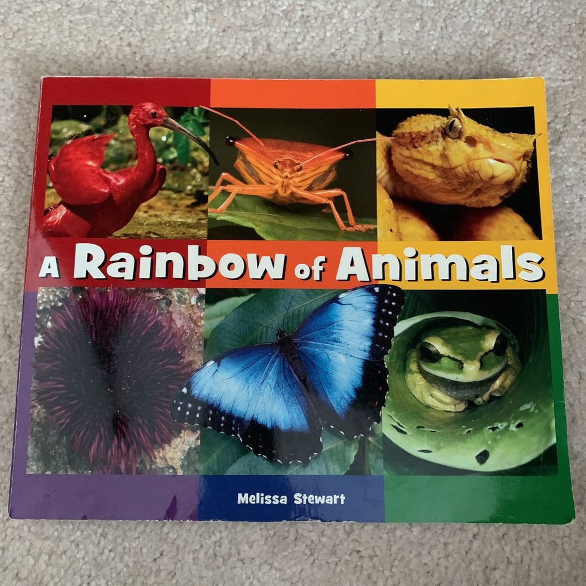 A Rainbow of Animals by Melissa Stewart