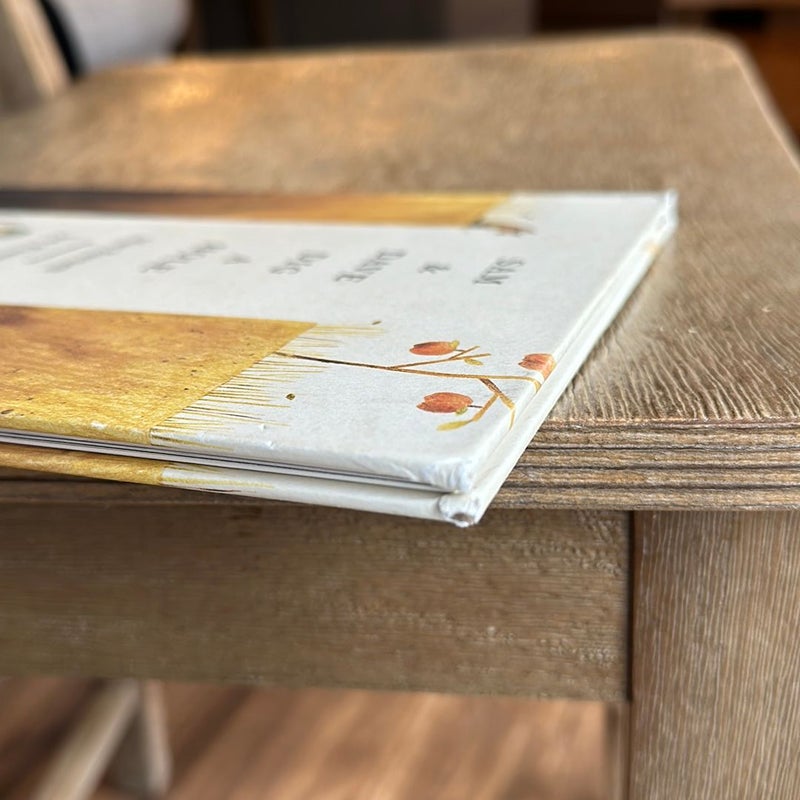 Sam and Dave Dig a Hole by Mac Barnett