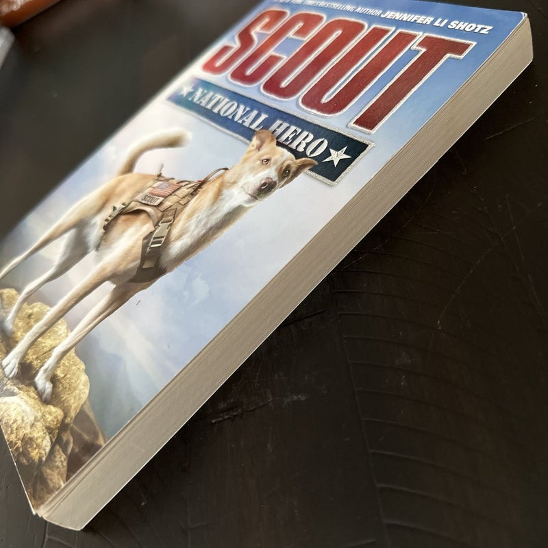 Scout: National Hero