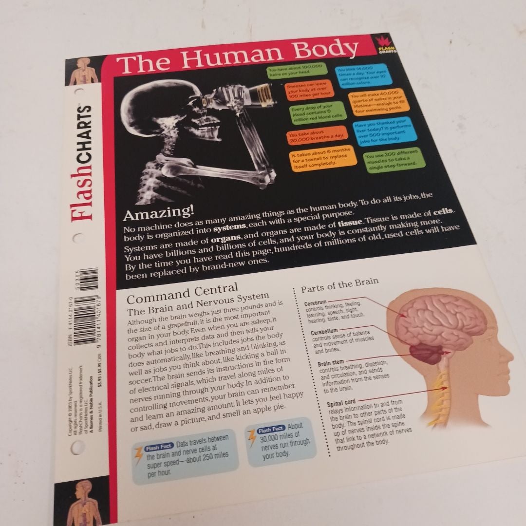 The Spark Charts Flash Charts Human Body by Flash Kids Editors